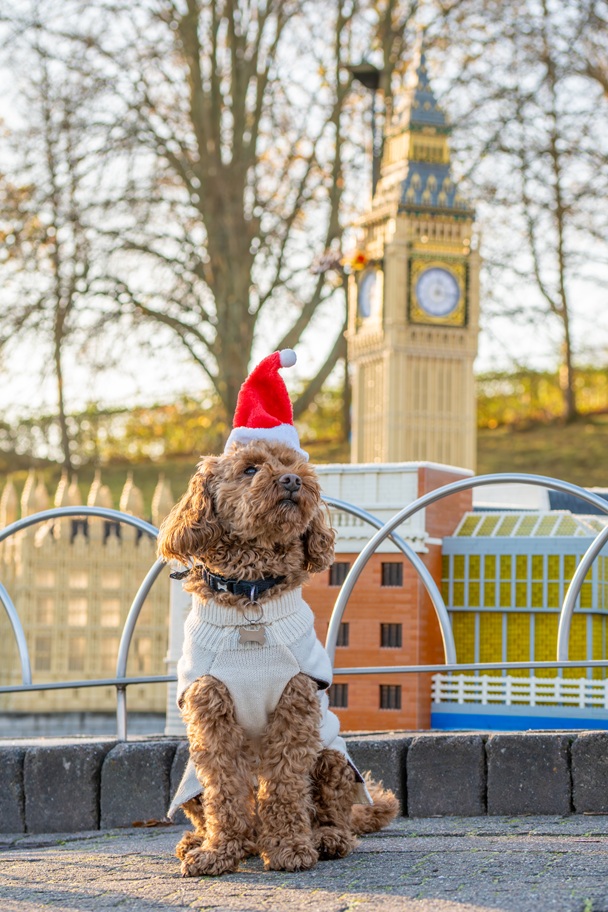 LEGOLAND Windsor welcomes dogs this Christmas with Paws in the Park